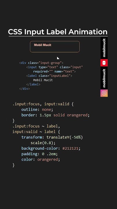 Css Input Label Animation Css Css3 Css3html5 Cssanimation Animation Input Inputanimation 