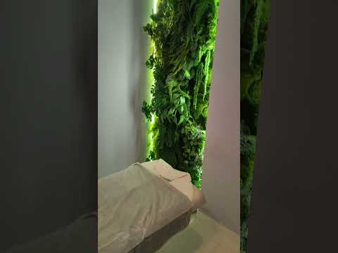 #самара #обзор #спа #отдых https://t.me/sazonovavolosy инст:@aesazonova - YouTube