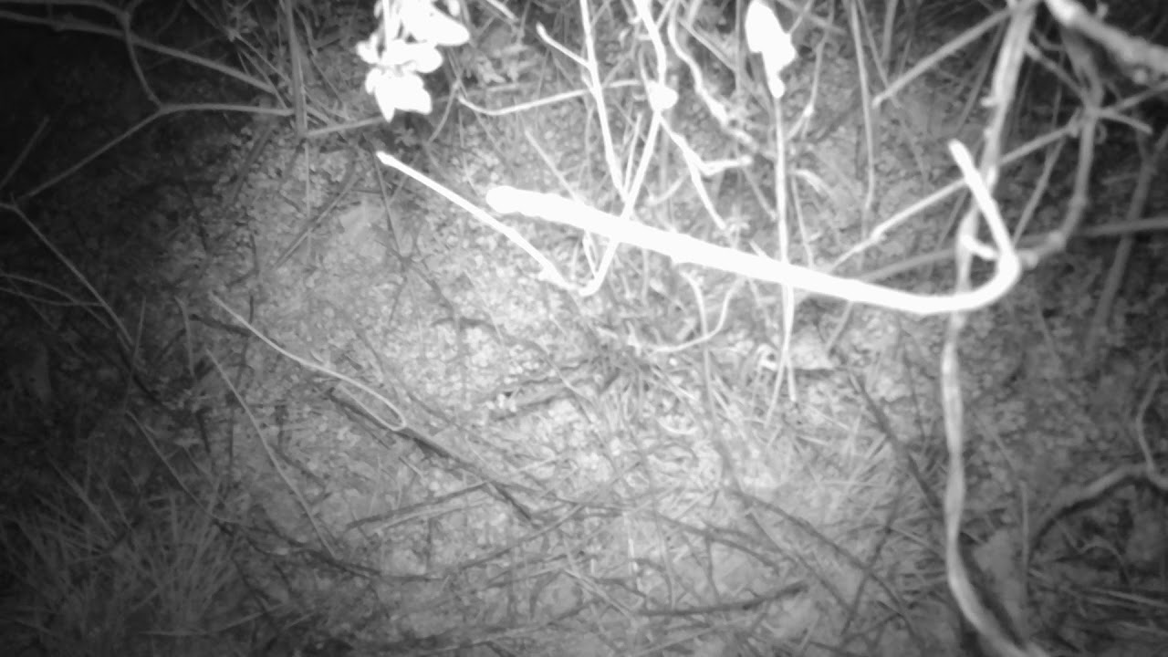 Clay Drive pt.6 - YouTube