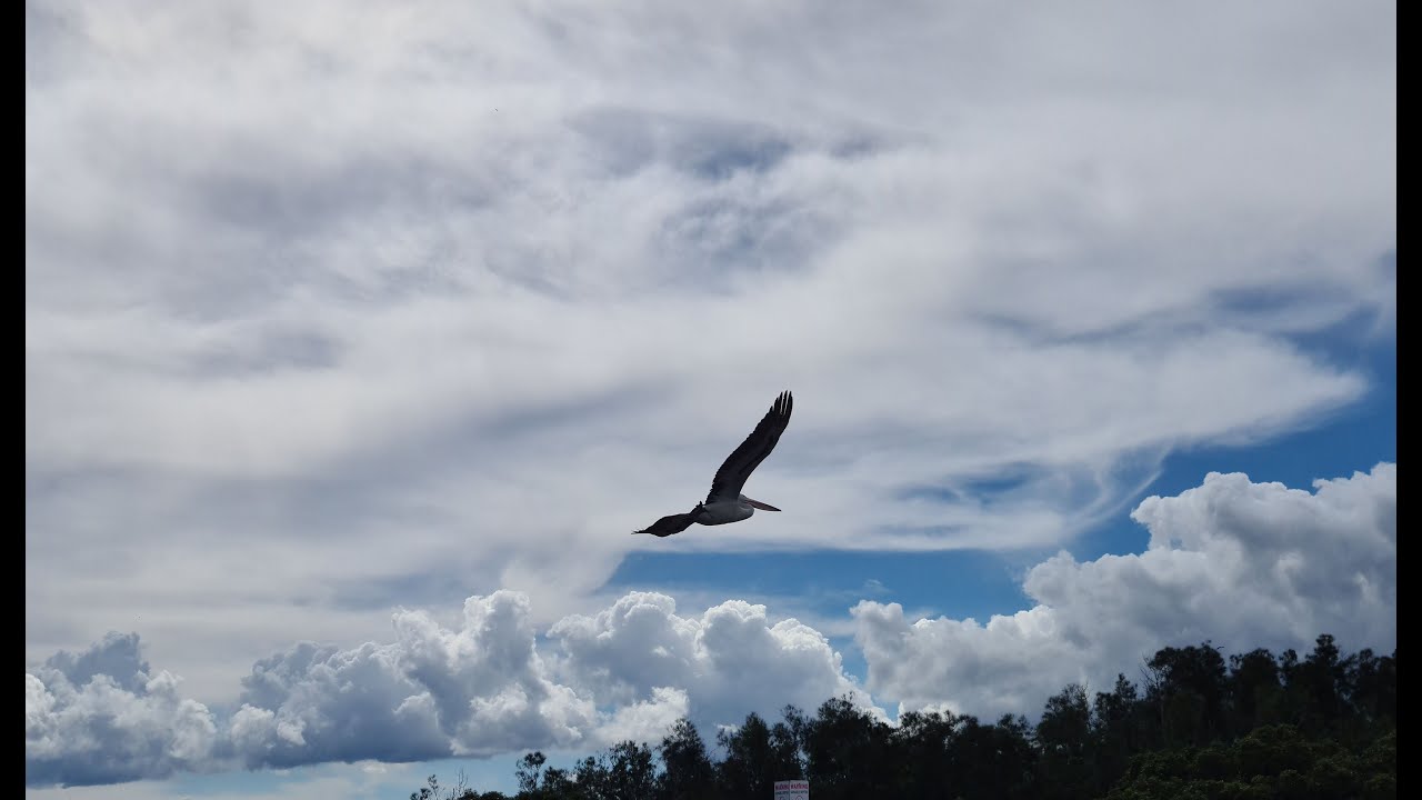 Romantic | Gabriel BUCUR - YouTube