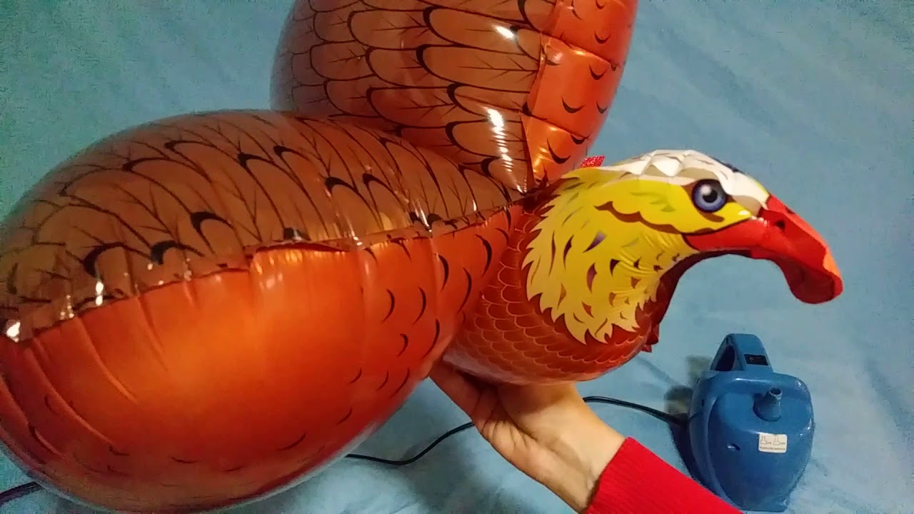 MYLAR BIRD BALLOON PUMP TO POP! - YouTube