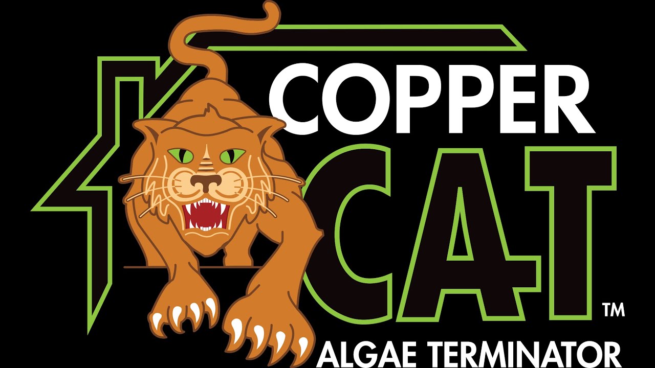 Make your Roof Algae Proof! With Copper Cat Roof Cleaning System! - YouTube