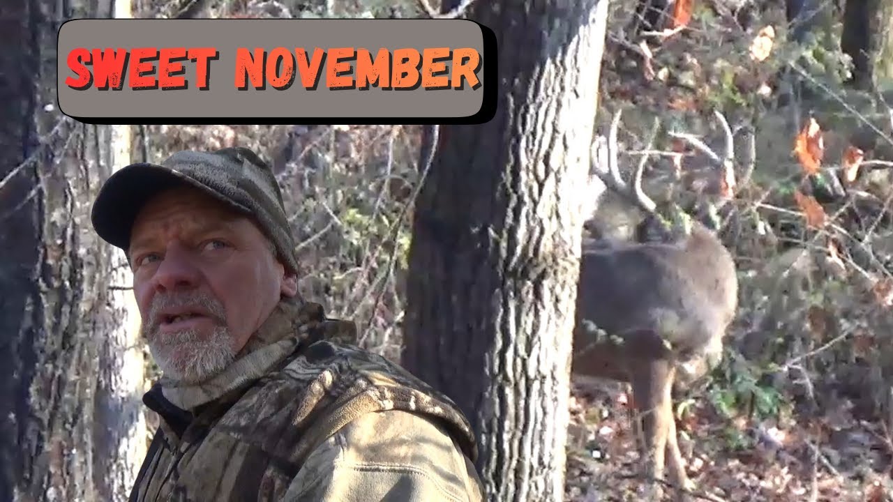 November Whitetail RUT ACTION - YouTube