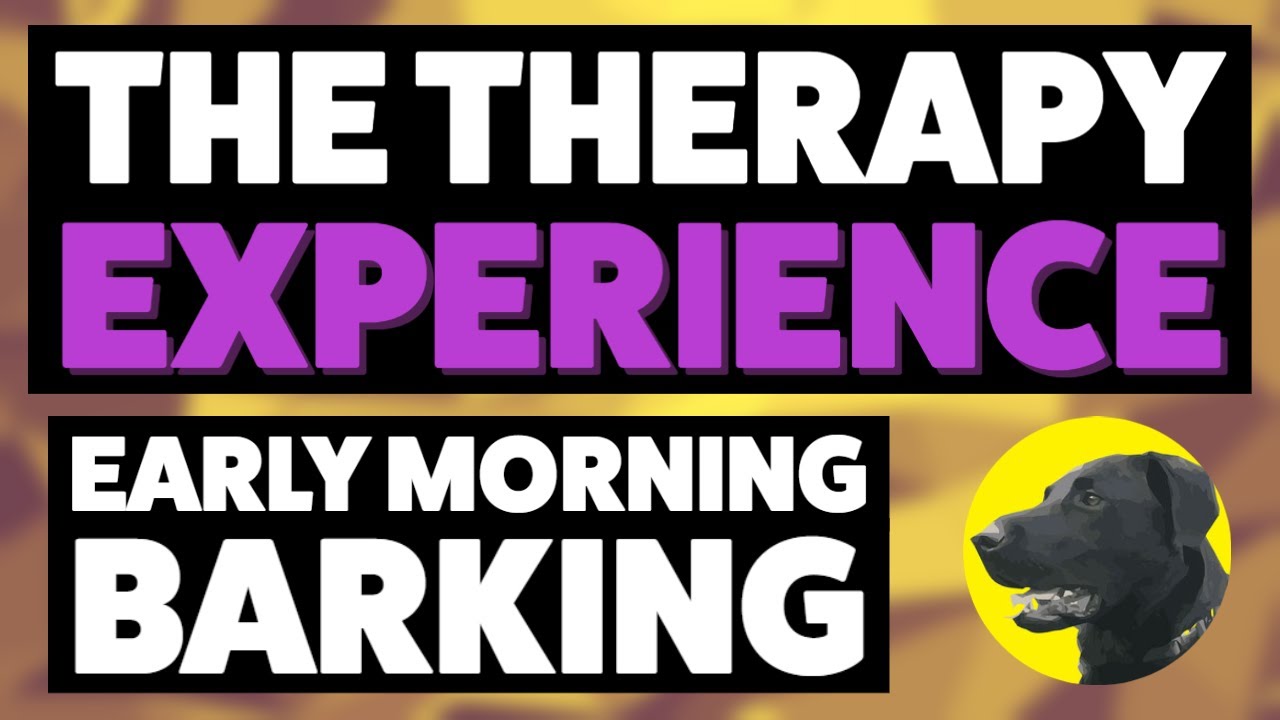 The Therapy Experience - YouTube