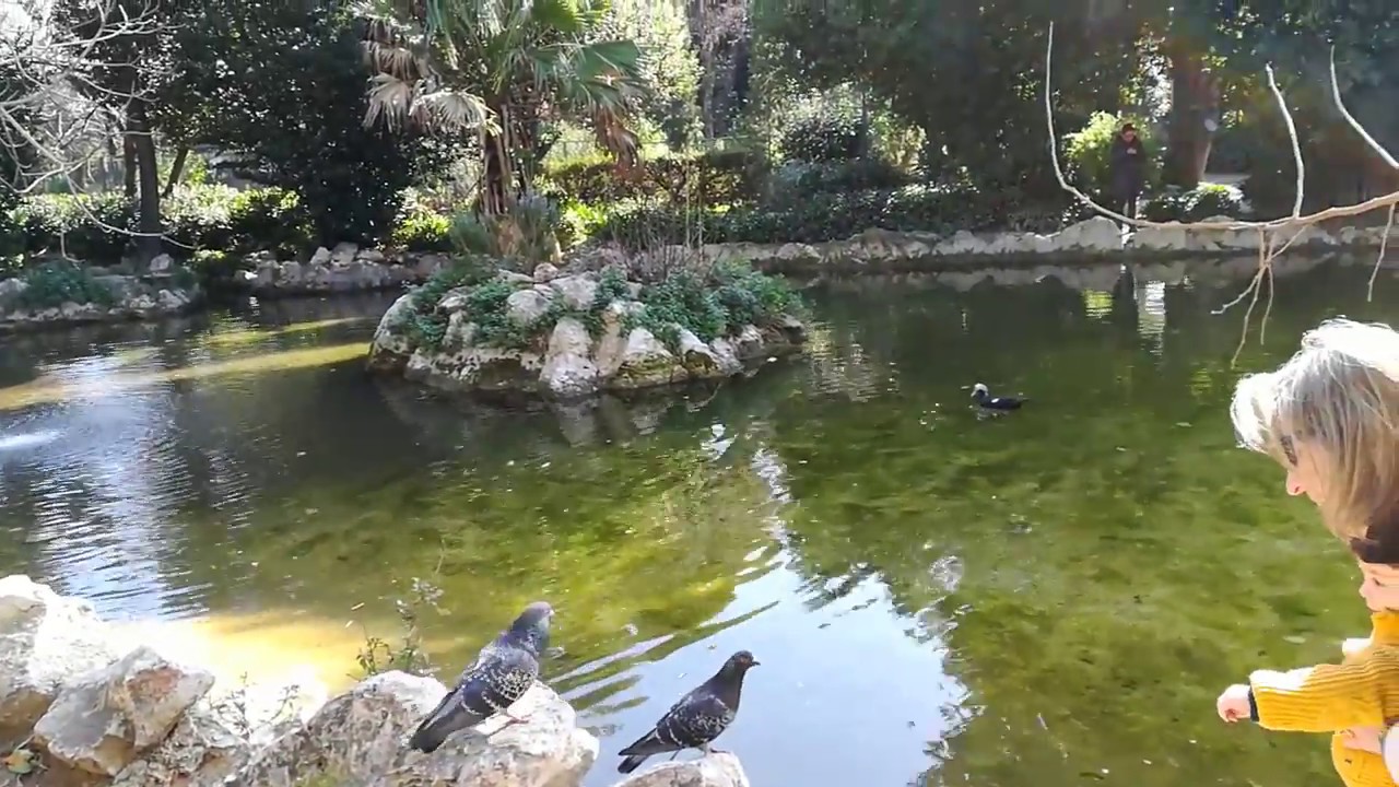 Huawei P9 Lite Camera video sample 720p (National Garden Athens)