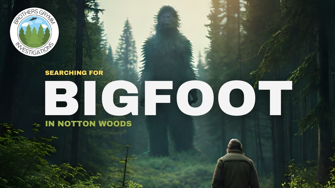 Searching for Bigfoot in Notton Woods - YouTube