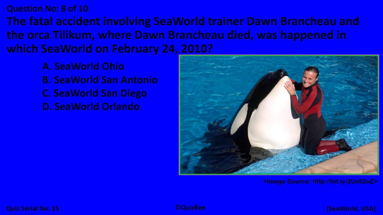 [Quiz Serial No: 15] QuizBee’s 10 Quiz Questions On "SeaWorld, USA ...