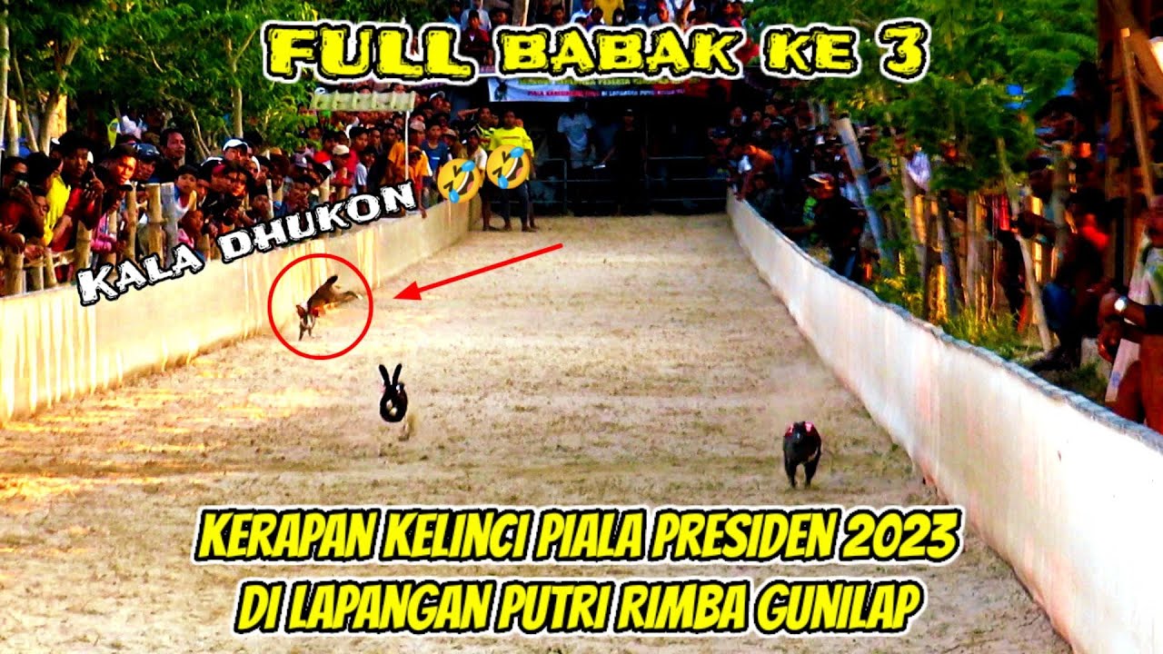 Full BABAK ke 3 kerapan kelinci di lapangan Putri Rimba Gunilap - YouTube