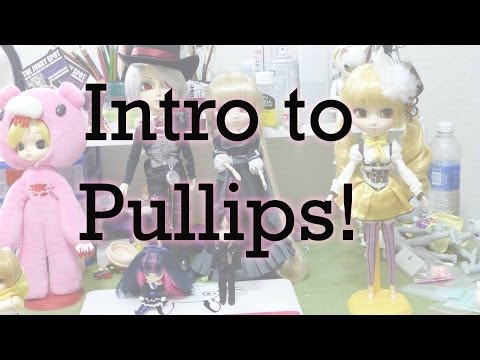 Intro to Pullip Dolls!