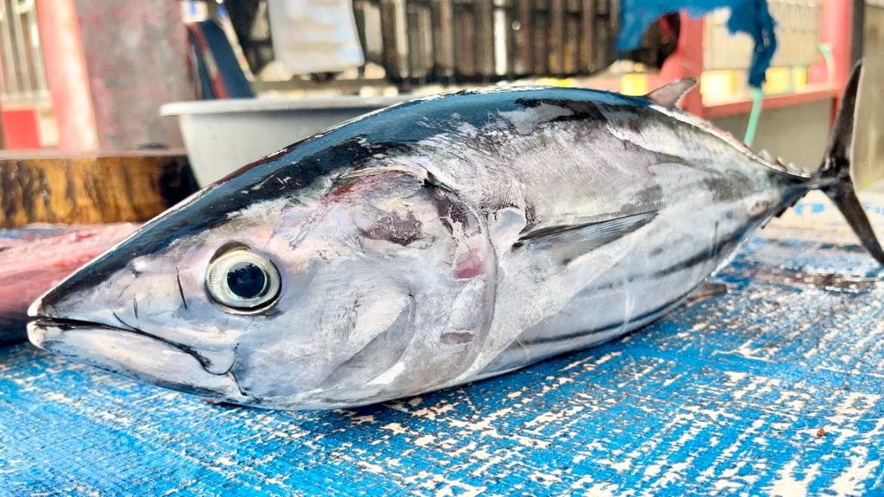 Impressive skillset! How to Cleaning & TUNA Cutting Outstandings - YouTube