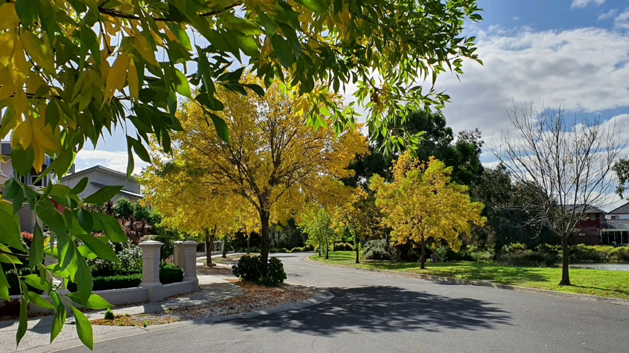 Autumn Colours Melbourne - 9 May 2020 - YouTube