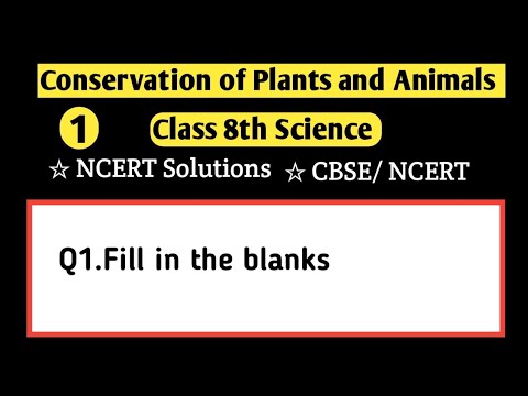 Q1.Fill in the blanks | Conservation of Plants and Animals - YouTube
