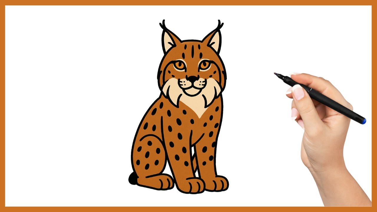 Comment dessiner un lynx facilement – Tuto dessin étape par étape - YouTube