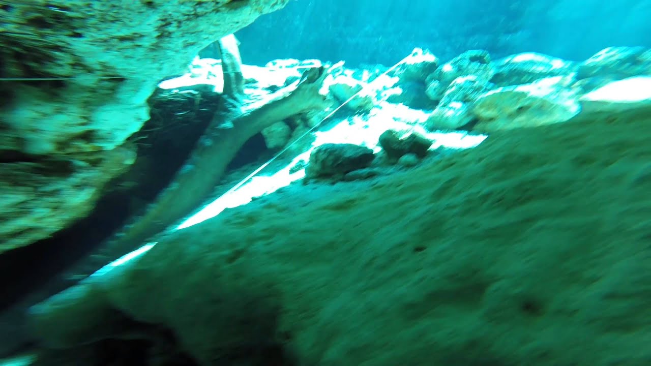 Devil Spring System 2-16-16 - YouTube