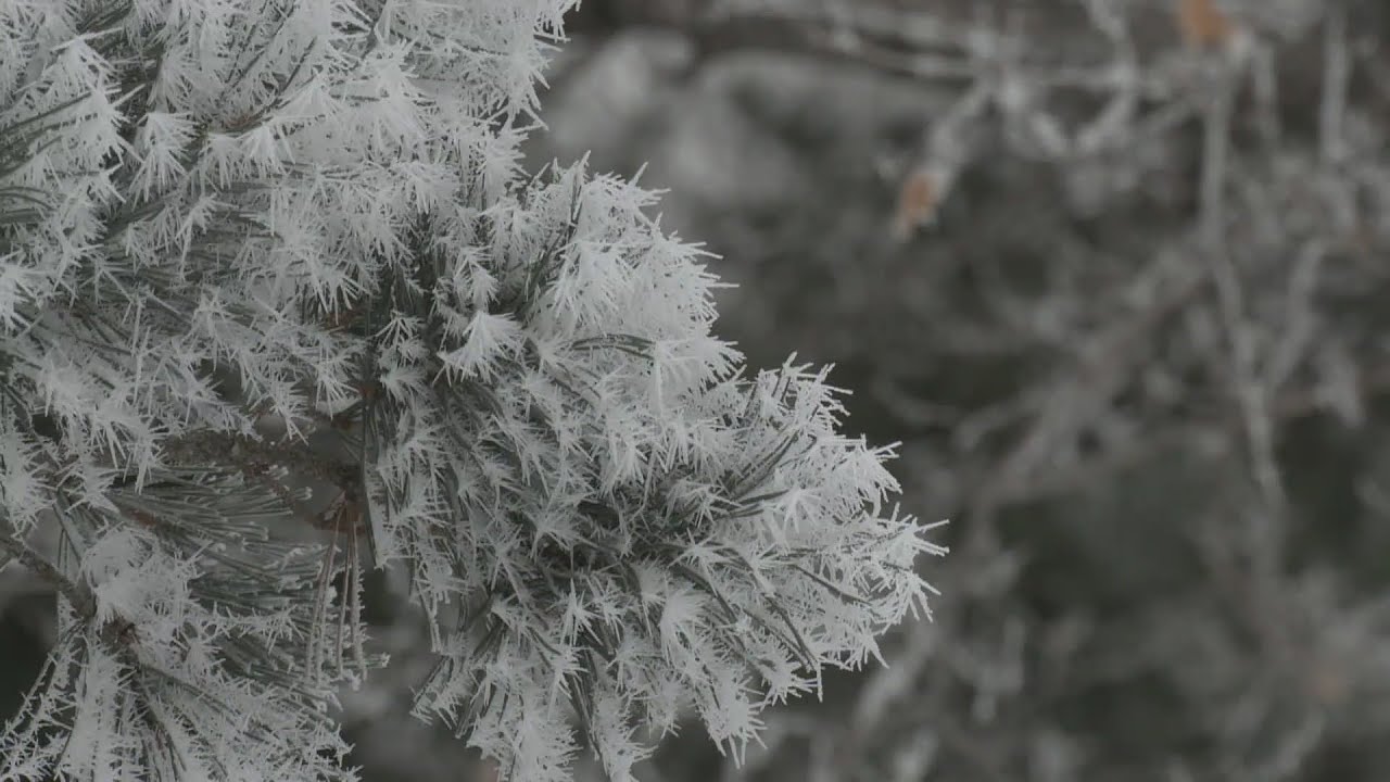 Minnesotans Share Images Of Beautiful Rime Ice - YouTube
