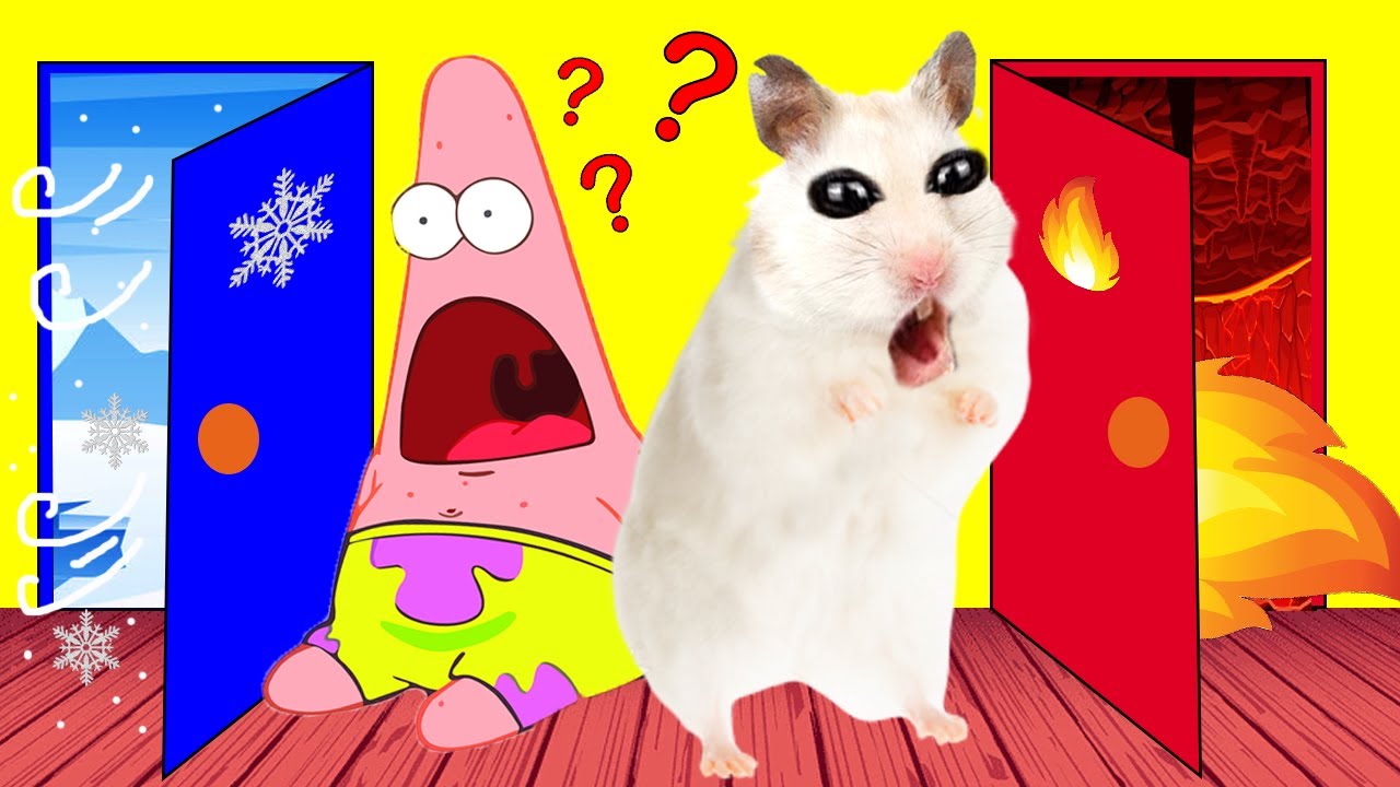 Fire Hamster vs Ice Patrick Lost In Cave! Cartoon Hamster by Mr Hamster ...