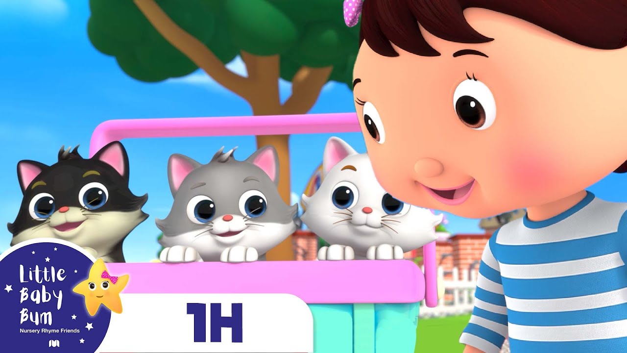 10 Little Pets | Cats, Dogs and Birds | Little Baby Bum | Fun Kids ...