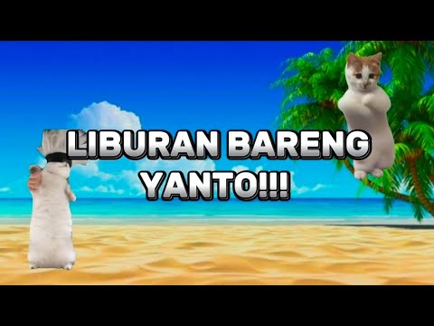 KEGIATAN" YANTO SAAT HARI LIBUR!!!!! #kucing #kucingmeme #youtube - YouTube
