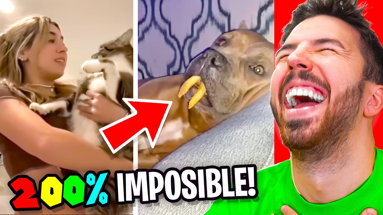 200% IMPOSIBLE AGUANTAR LA RISA - YouTube