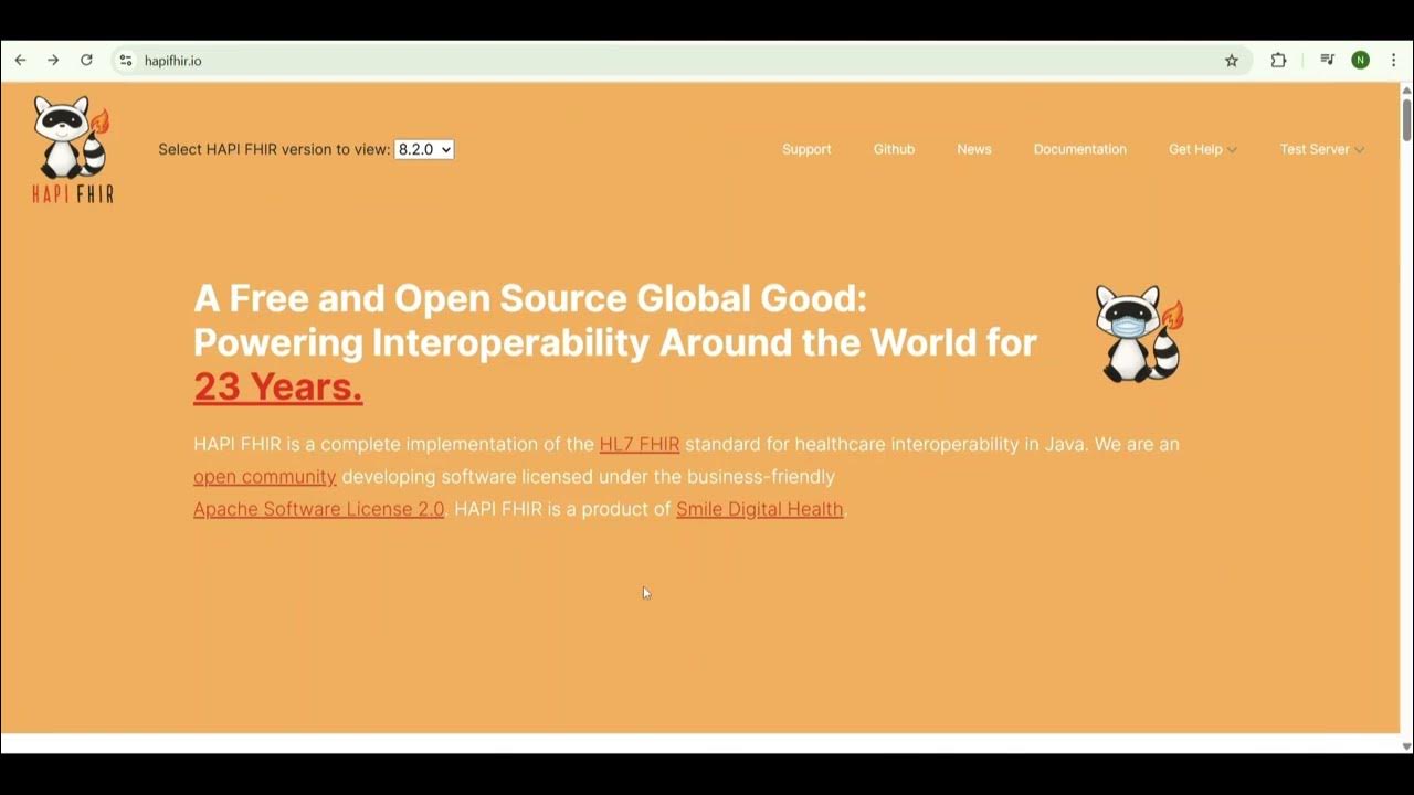 FHIR Server - How To Set Up Your Own FHIR Server With HAPI FHIR - YouTube