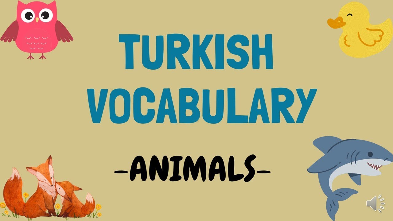 Turkish Vocabulary - Animals (English-Turkish) - YouTube