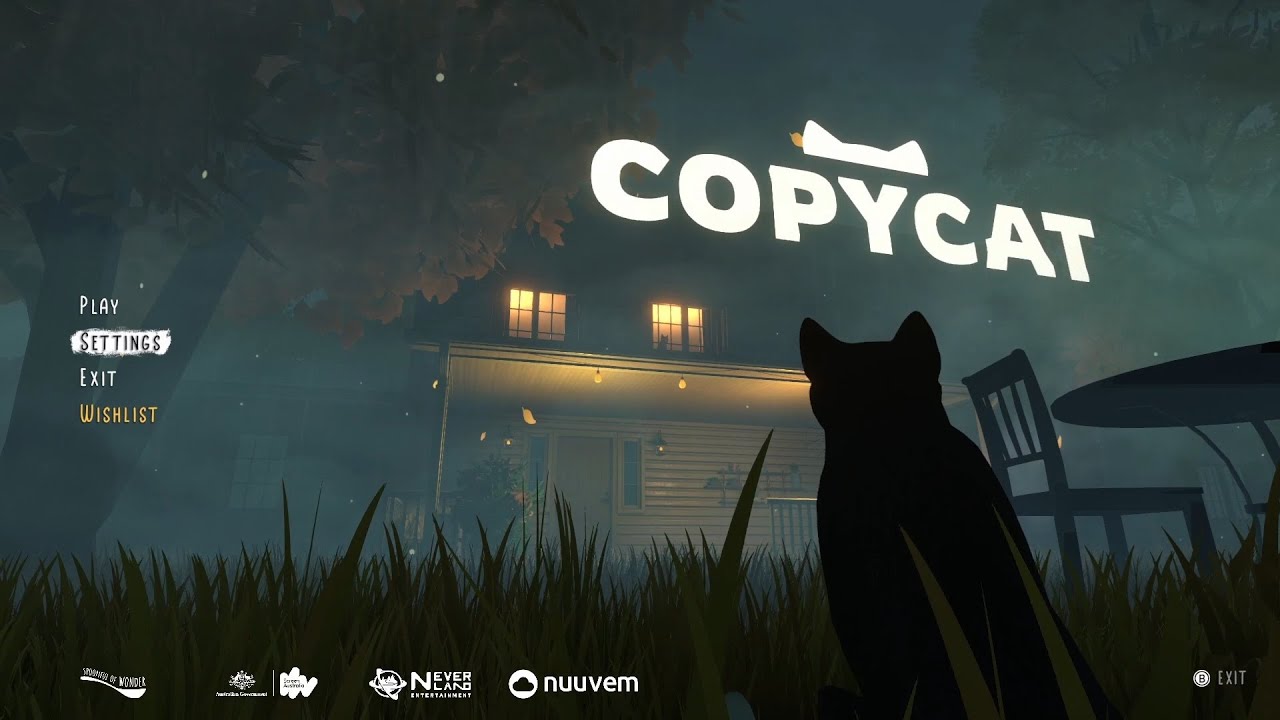 Try This Cat Game: Copycat - YouTube