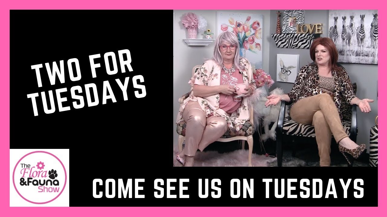 Two for Tuesdays - Come See Us on Tuesdays - YouTube