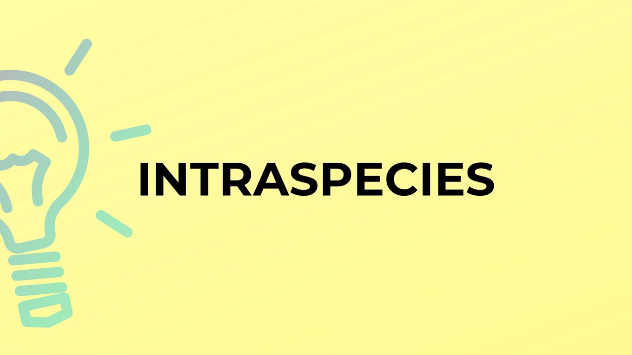 What is the meaning of the word INTRASPECIES? - YouTube