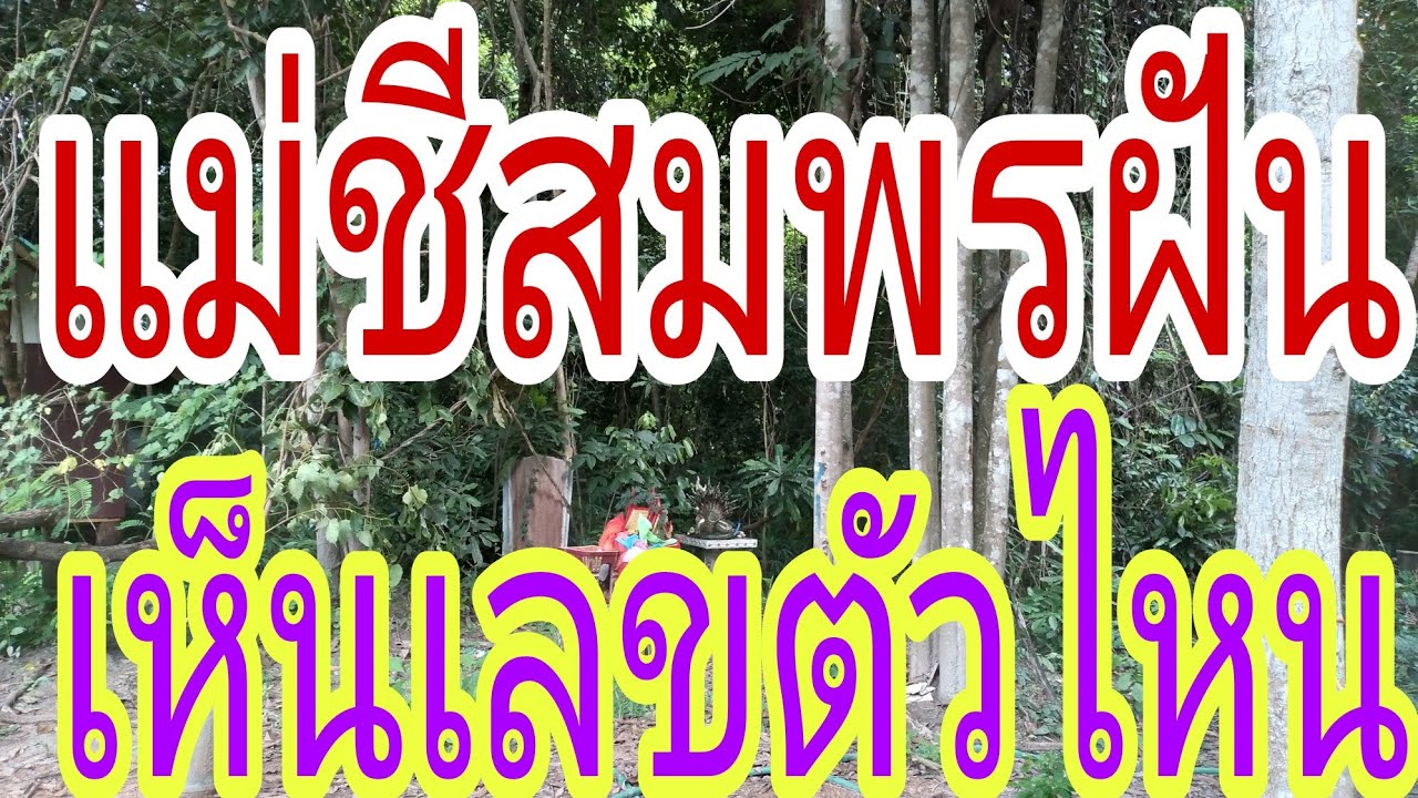 21 2021 3 1 8 64 YouTube 21-2021-3-1-8-64-youtube