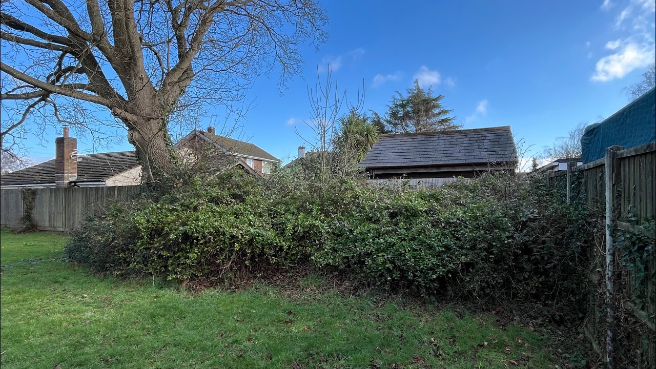 Clearing Back Some of the Overgrown Mess under this Oak Tree! - YouTube