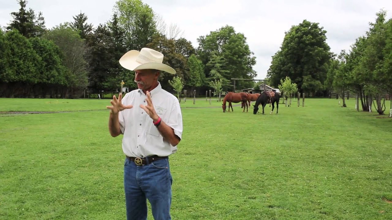 Texas Longhorn Ranch, Middlesex County - YouTube