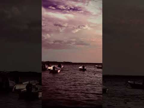 Bol na halke halke | shahrukh khan songs #shahrukhan #viraltiktok