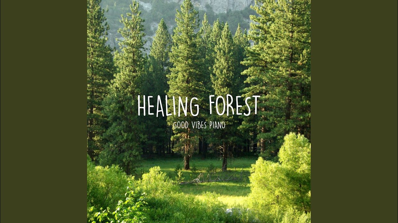 Relax Tree - YouTube