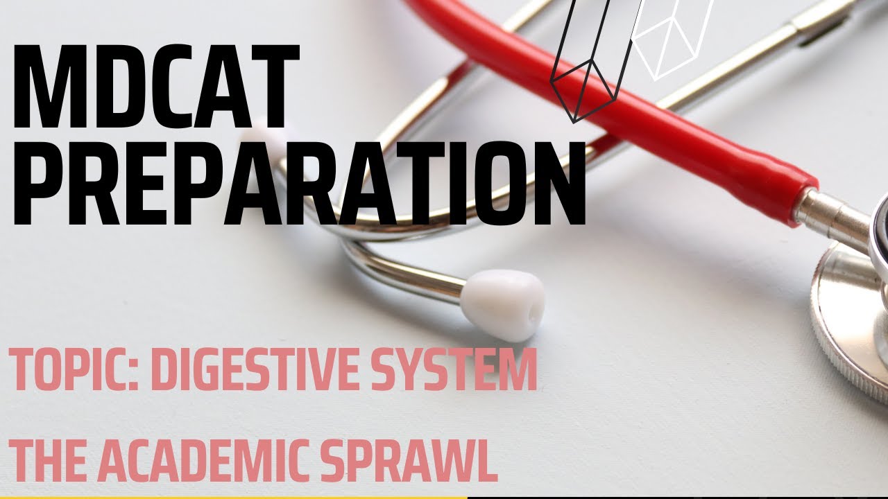 Digestive System | MDCAT Preparation | The Academic Sprawl - YouTube