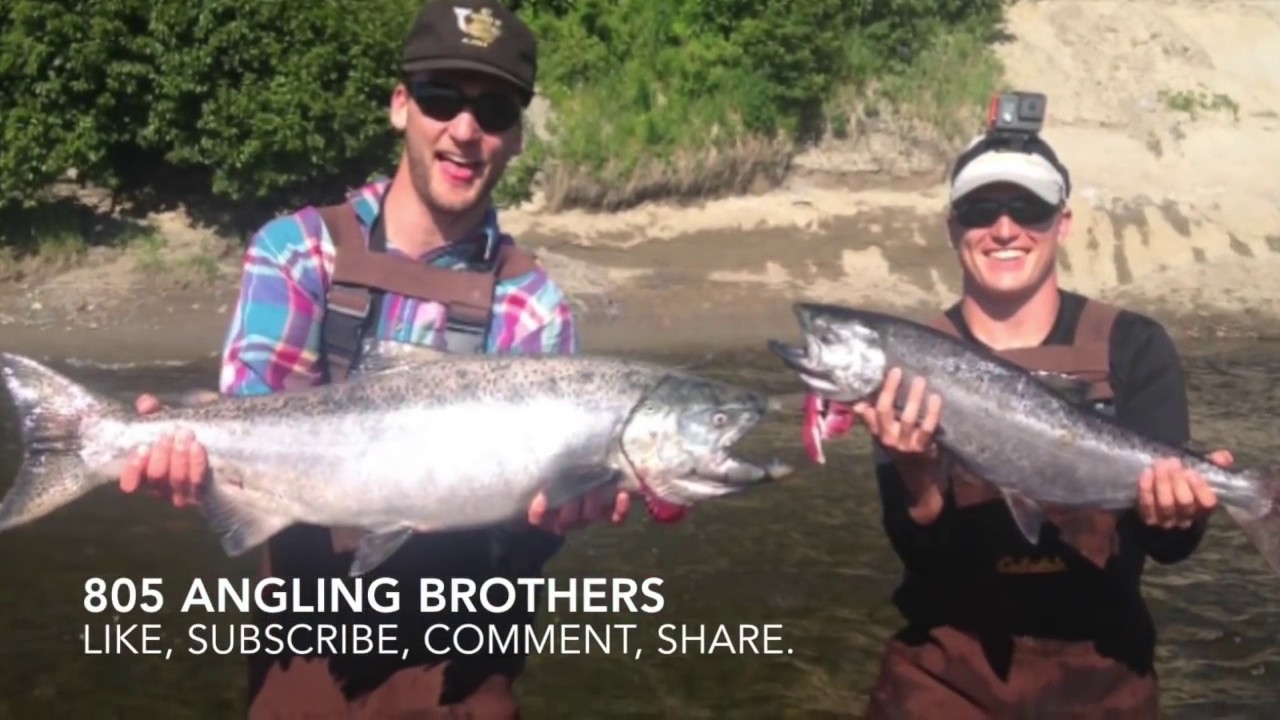 King Salmon- June 12, 2016, Deep Creek, Alaska: Audio Live Action - YouTube