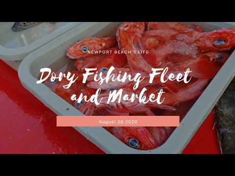 Dory fishing fleet and market | August 28 2020 | Newport Beach's Life ...