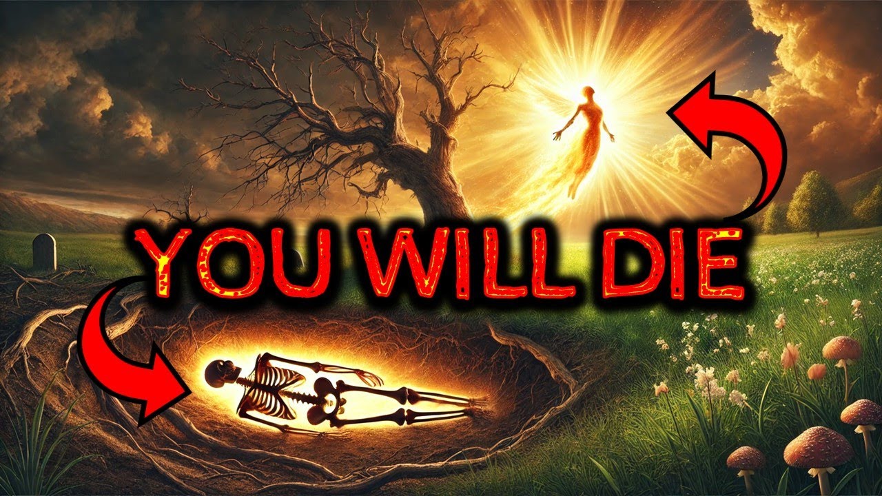 This Book Explains EXACTLY What Happens When You Die - YouTube