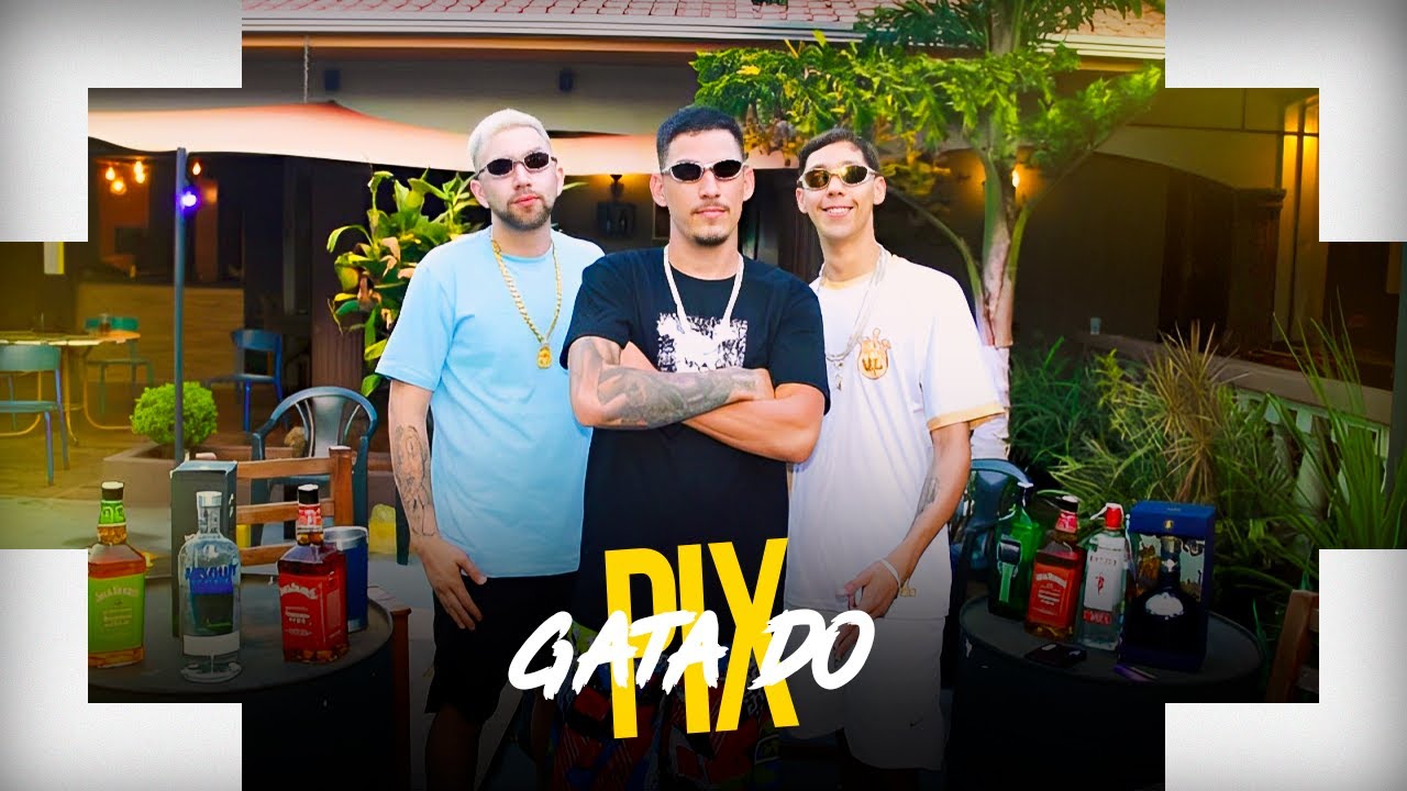 GATA DO PIX - Mc's 2B, Vini Vaz, Jota da VR ( DJ Feeh) - YouTube