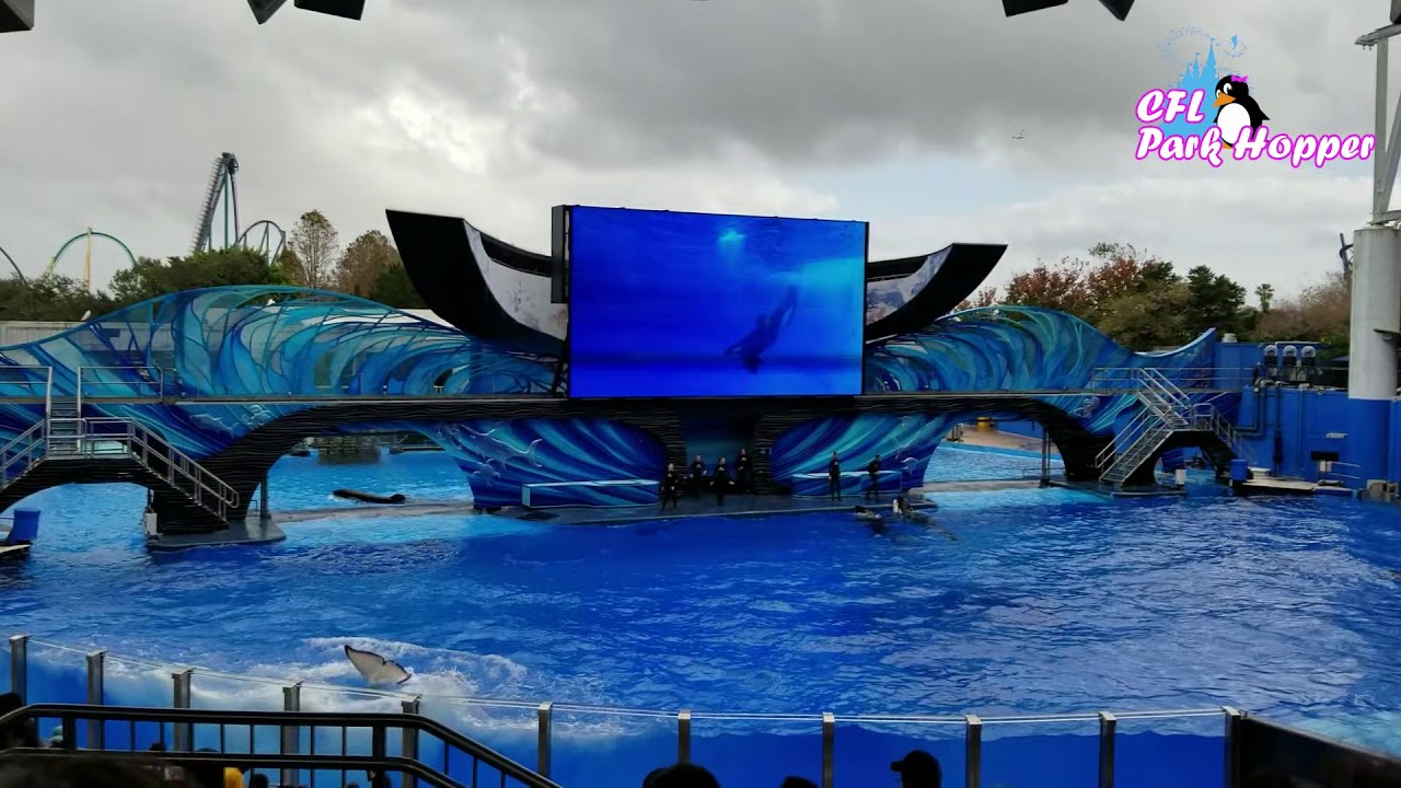 Inside Look at Seaworld Orlando and New Orca Encounter! - YouTube