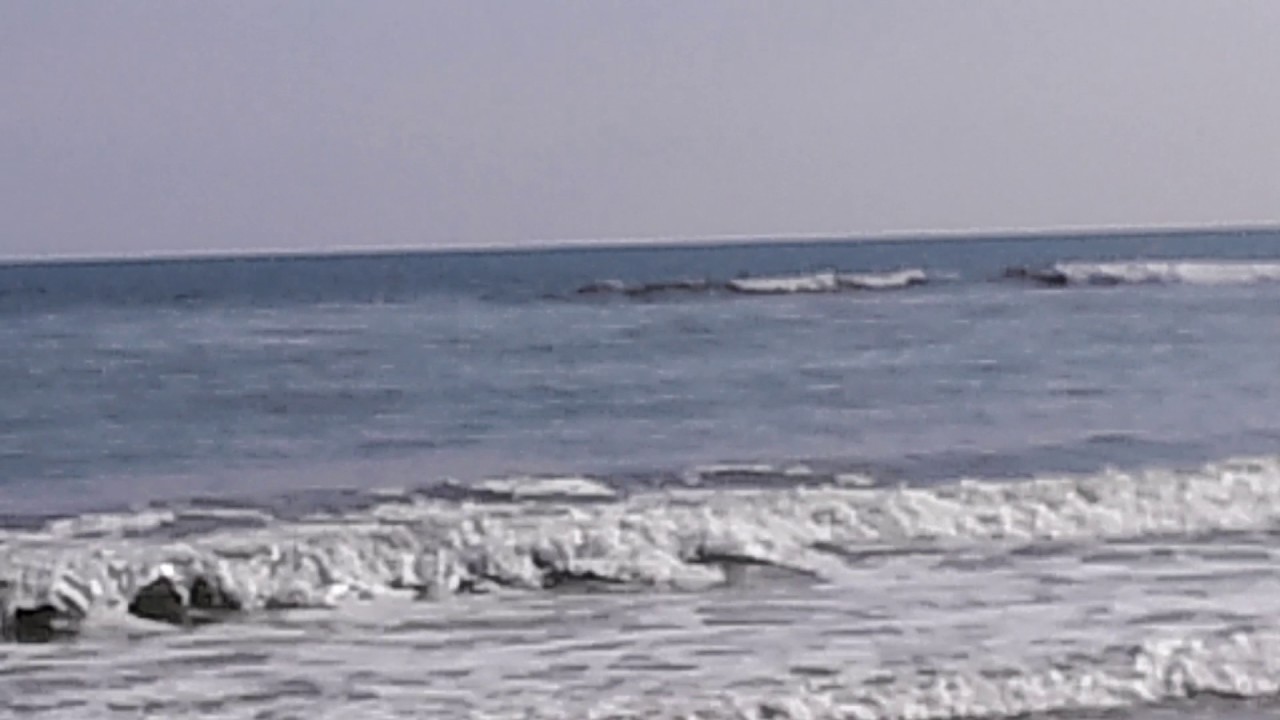 The Sandpiper poem by C. Thaxter recited live by Esther Myers - YouTube