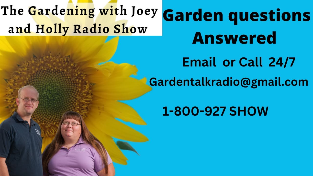 Seg 4 of S7E13 Garden questions answerd mulch, beans -The Gardening ...