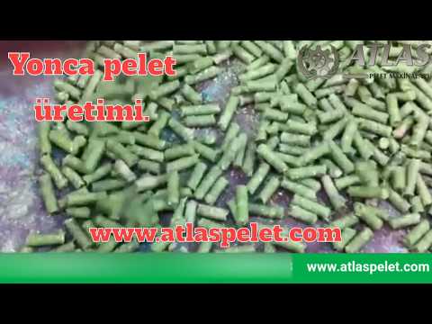 yonca pelet nedir, yonca pelet nasıl üretilir, yonca pelet