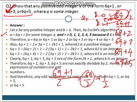 REAL NUMBER EX 1.1 QUESTION 2,3 - YouTube