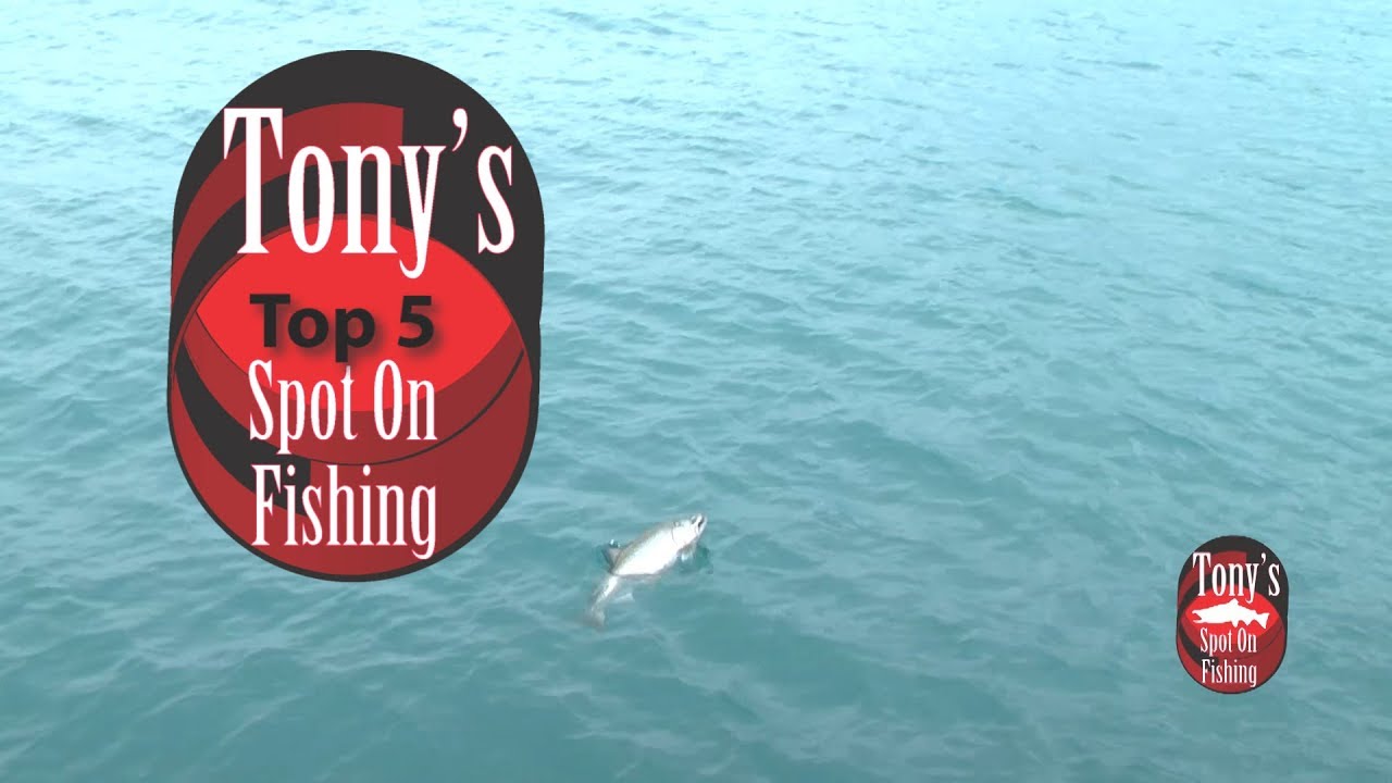 Top 5 Casting Spoons For Salmon - YouTube