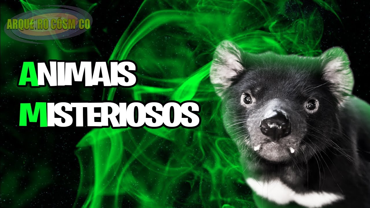 Conheça Os Animais MAIS Misteriosos do MUNDO! - YouTube