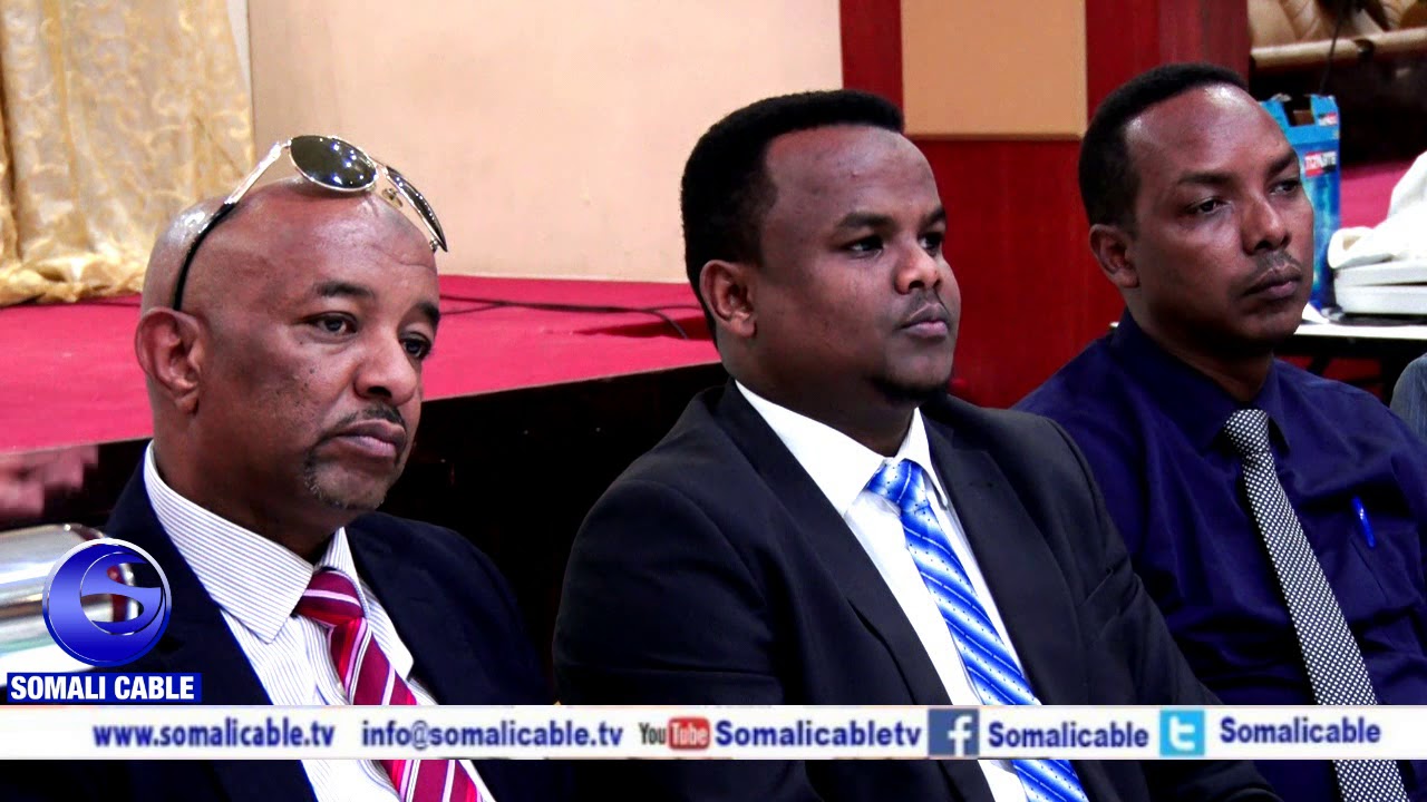Warka Somaliland Oo Ku Hawlan Sameynta Xeerka Talax Gabka Shaqaalaha Da ...