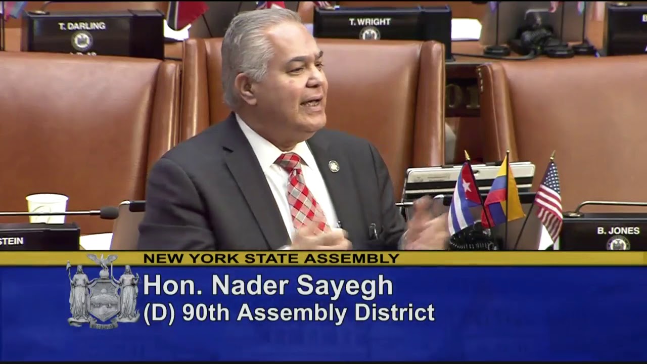 NYS Assemblyman Nader J. Sayegh, 90th District Legislative Disabilities ...