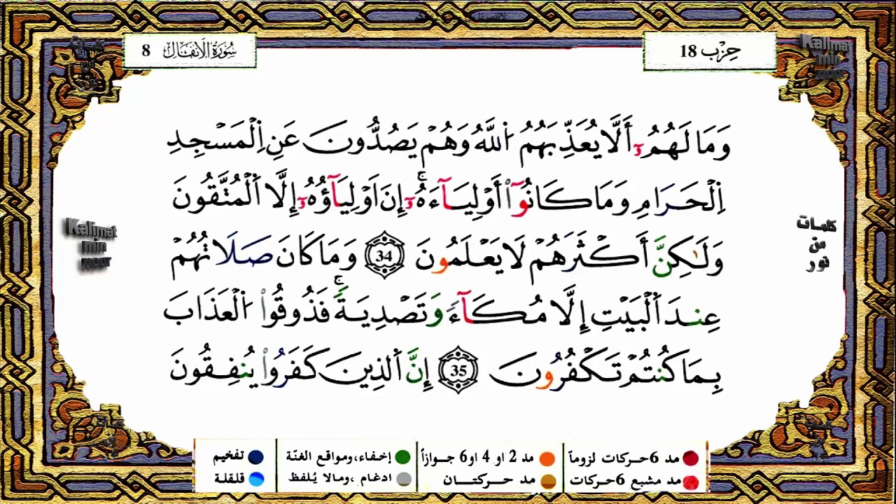 سورة الانفال برواية ورش القارئ ياسين الجزائري Youtube