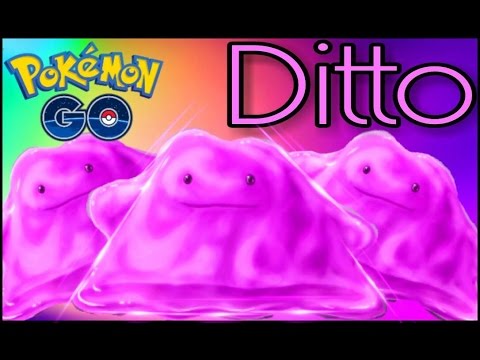 Ditto Pokemon Go EASTER EGG: DITTO FOUND! + HOW TO GET DITTO!!!!! - YouTube
