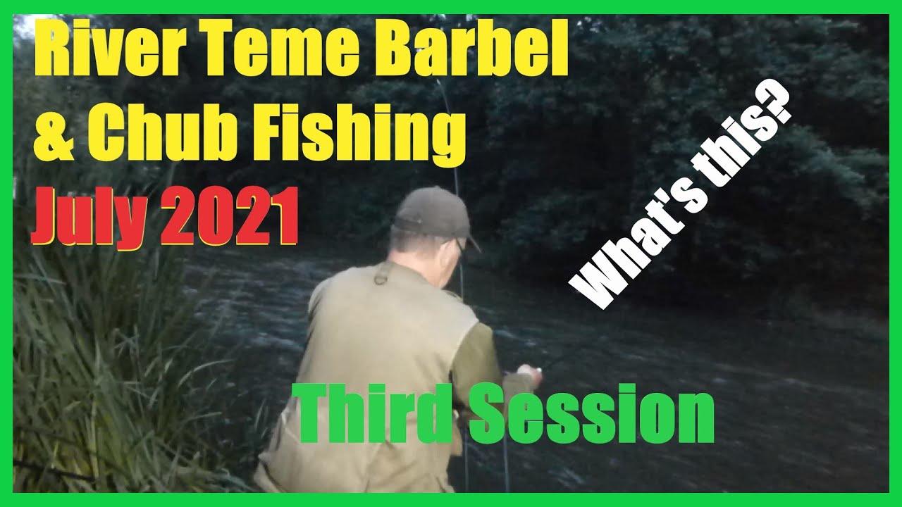 River Teme Fishing for Barbel & Chub July 2021 🎣 Third Session - YouTube
